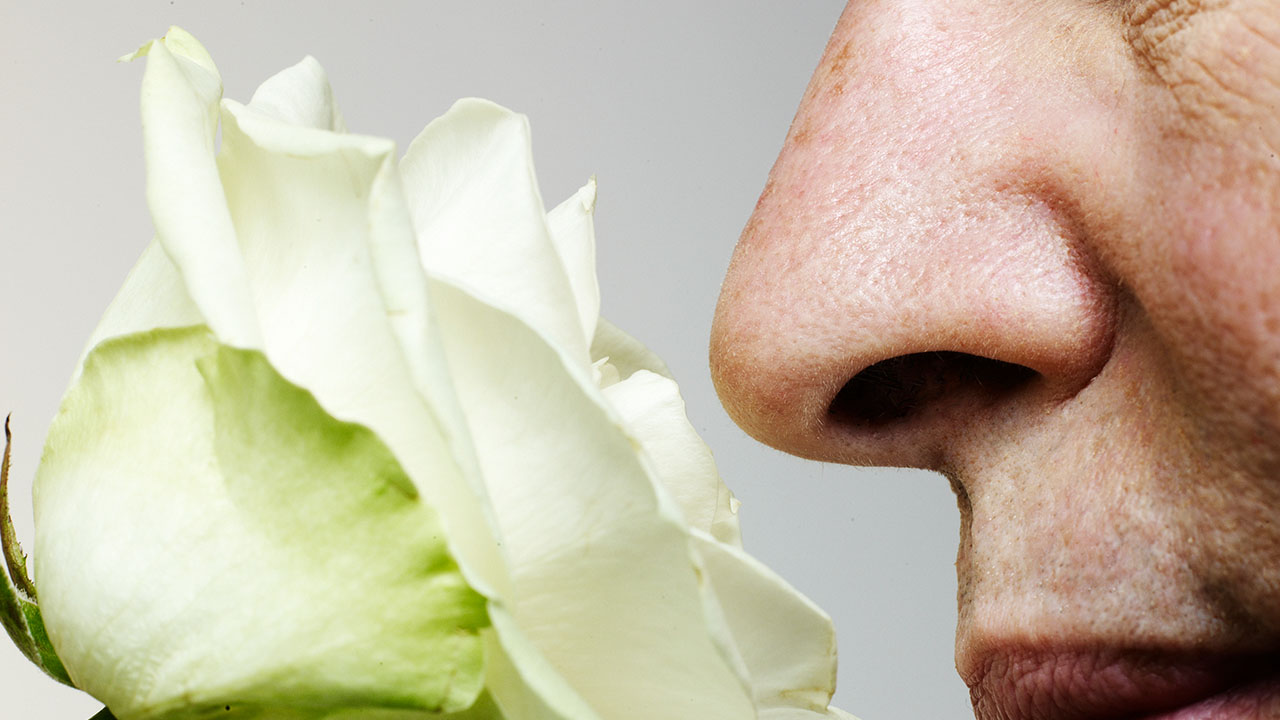 When the Nose Goes | Northwestern Medicine