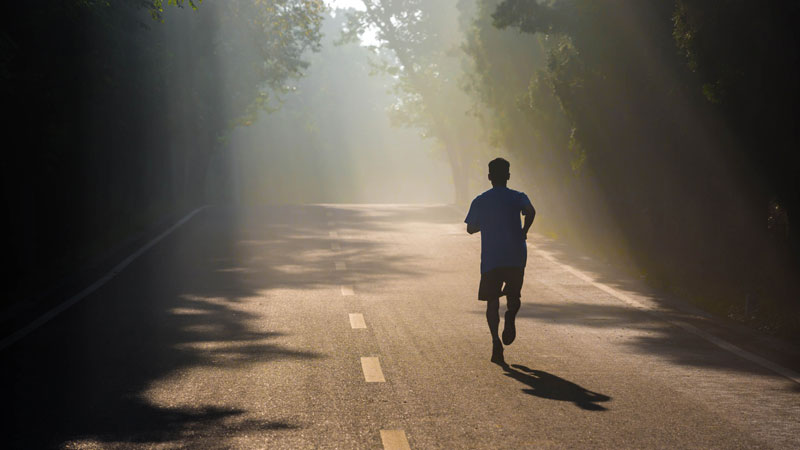 How Time of Day Determines Muscle Efficiency and Metabolic Response ...