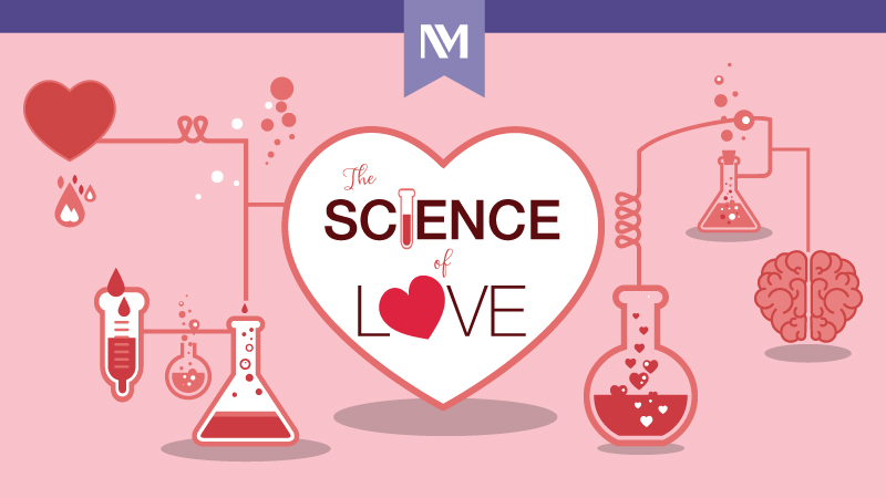 The Science of Love (Infographic) | Northwestern Medicine