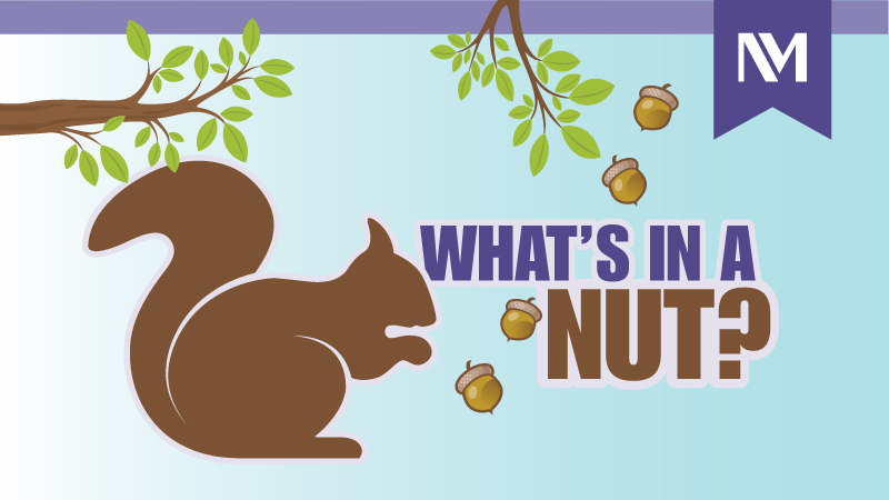 What’s in a Nut? (Infographic) | Northwestern Medicine