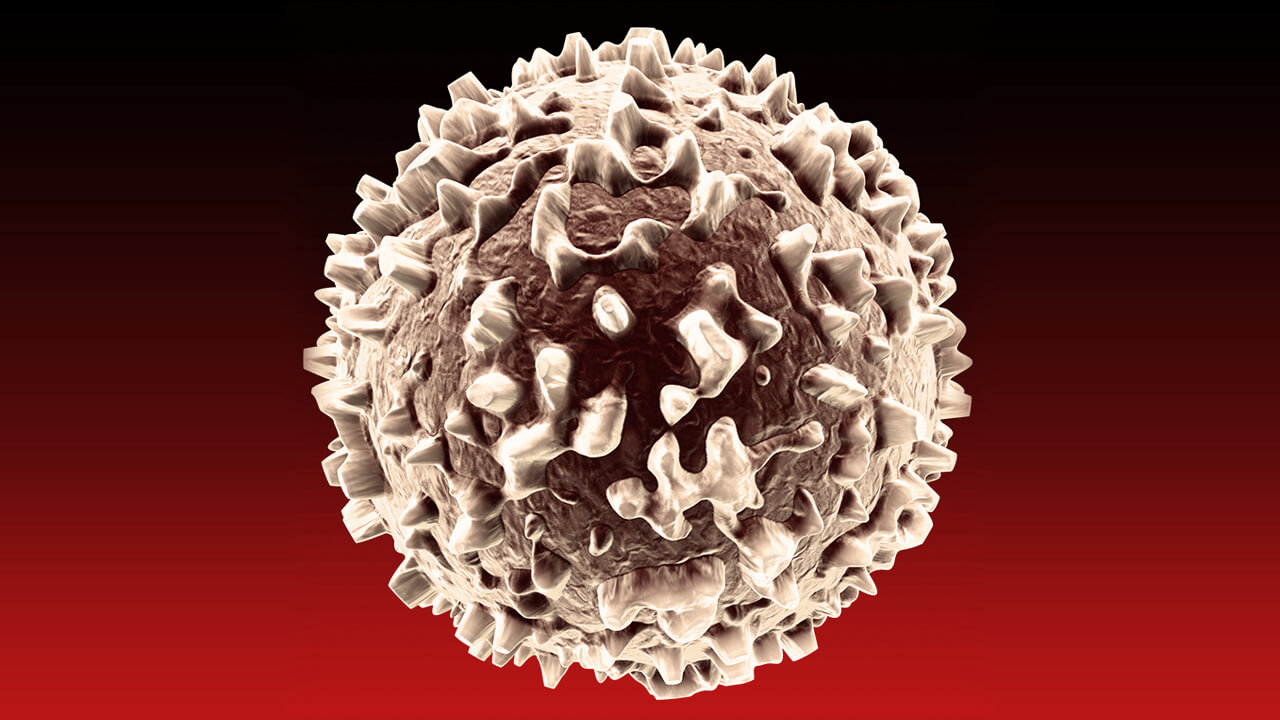 Organ Transplant Success With T-Cell Technique | Northwestern Medicine