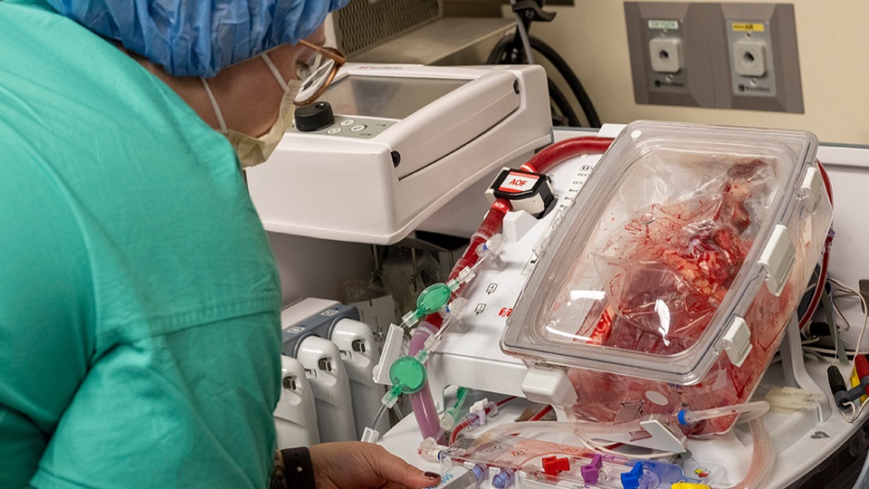 Northwestern Medicine | Northwestern Medicine