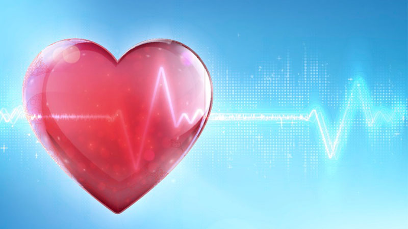 10 Things You May Not Know About Heart Disease | Northwestern Medicine